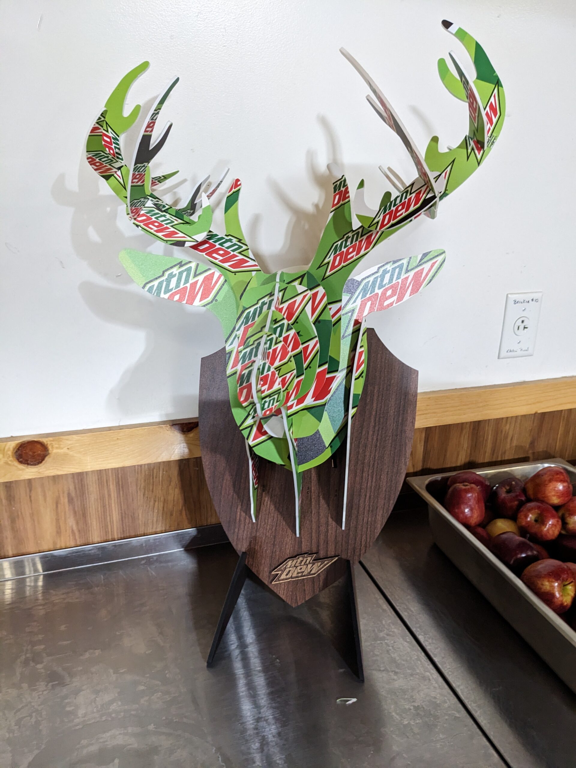 Camp Tesomas 2023 – Boy Scout Troop 35 – Wheaton, Illinois